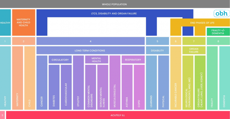 Bridges to Health Segmentation Model – Outcomes Based Healthcare
