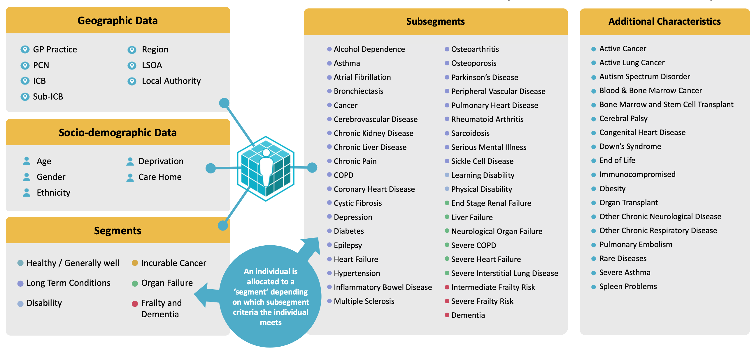 National bridges to health segmentation dataset – Outcomes Based Healthcare