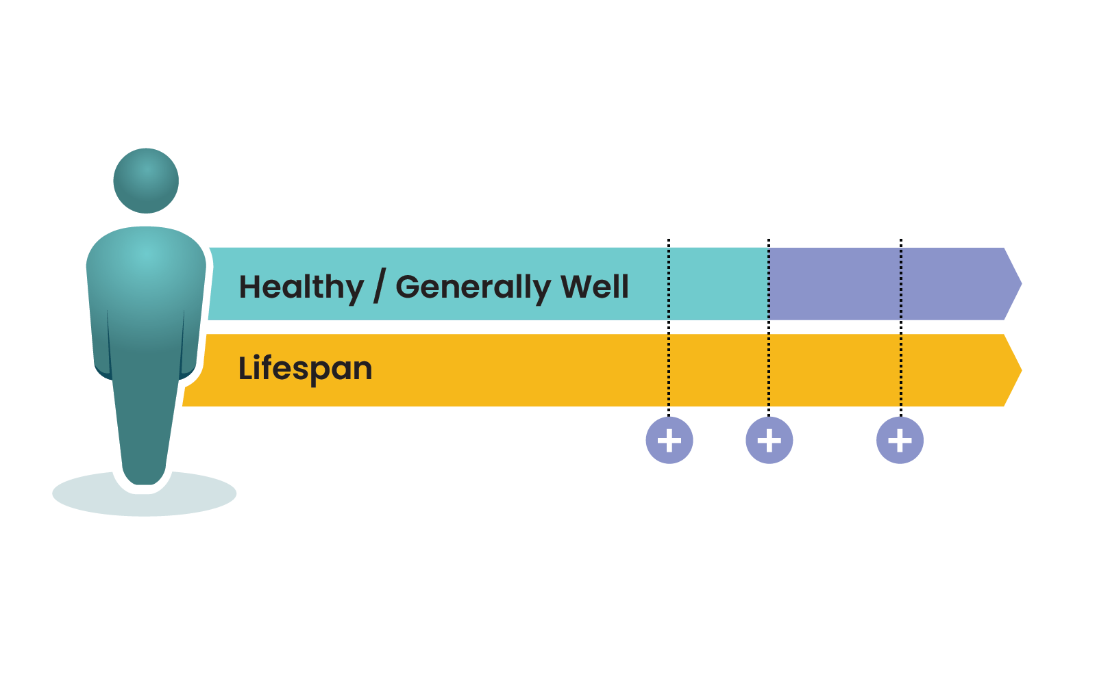 Nhse Segmentation Dataset Reference Guide Outcomes Based Healthcare