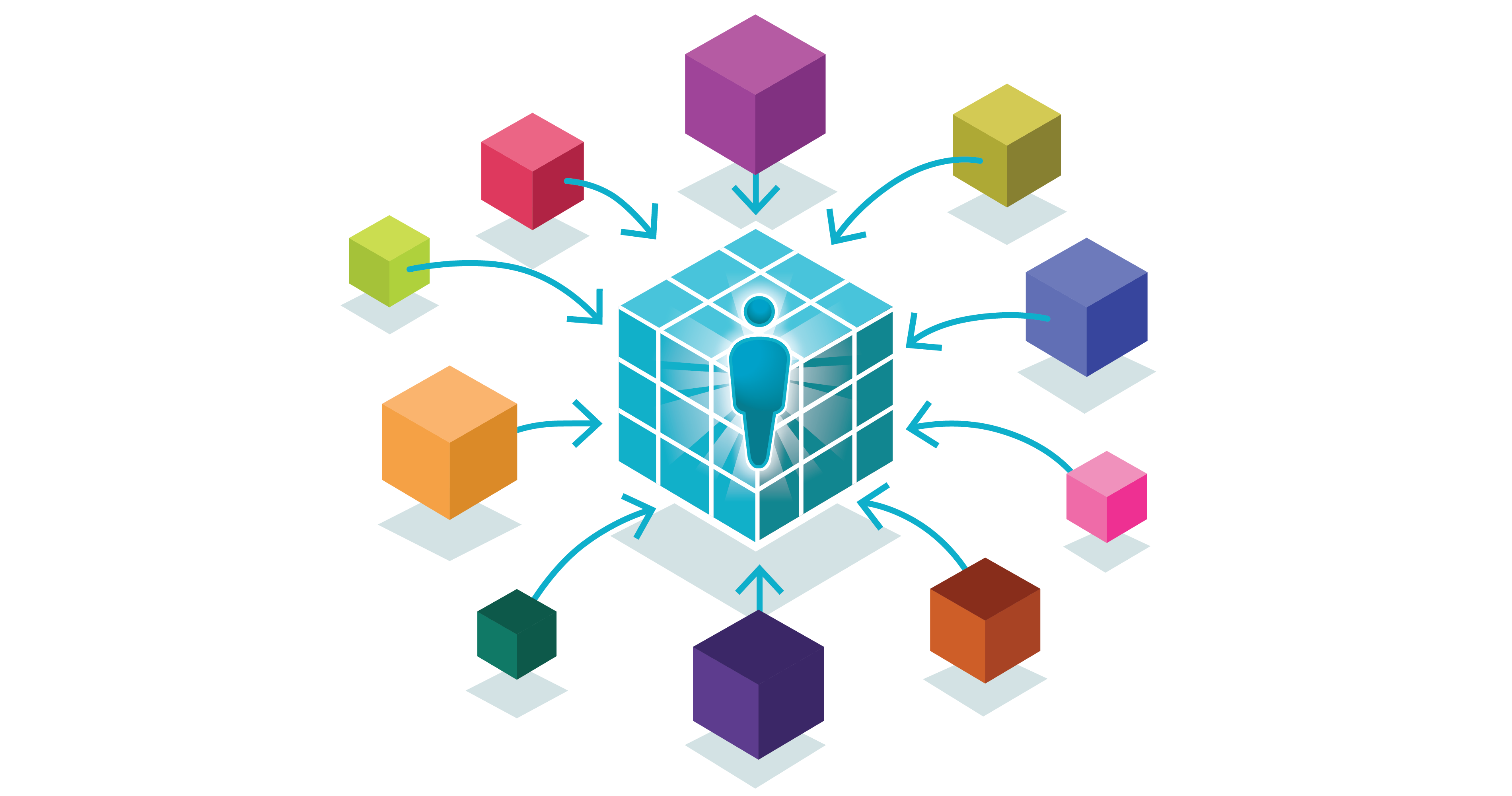 Segmentation Dataset Overview Outcomes Based Healthcare
